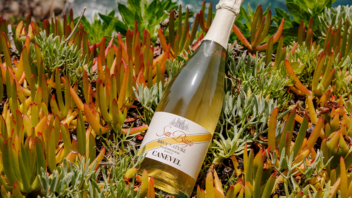 Canevel launches San Biagio Brut Nature Valdobbiadene DOCG