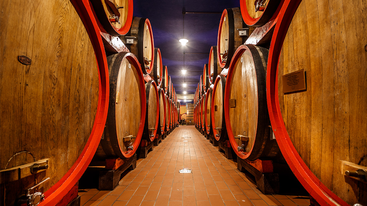 Masi World Experience | Cellar tours and tastings | Monteleone21 | Masi