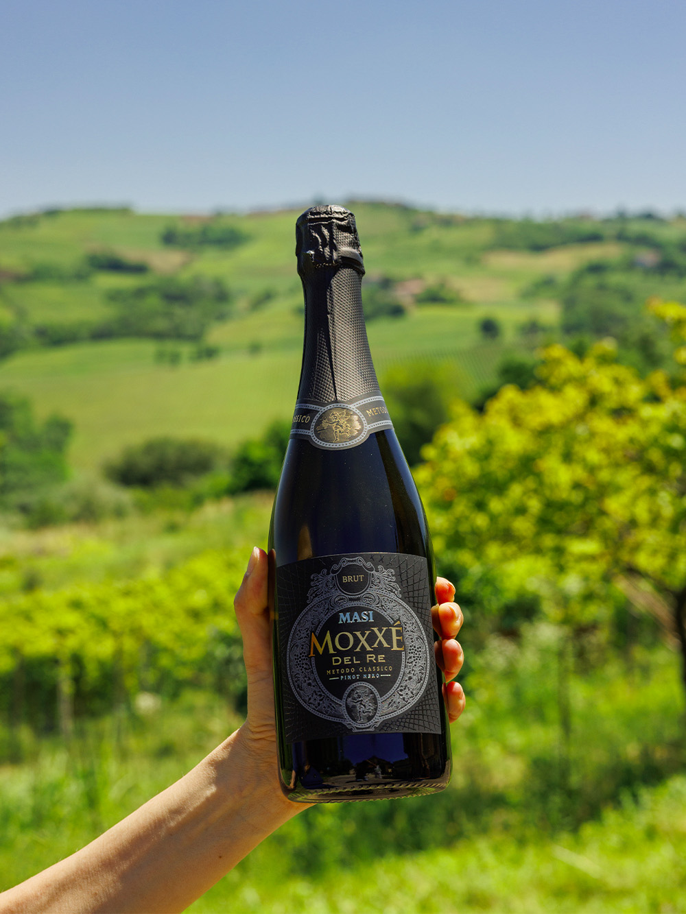 MASI | Wine | Moxxé del Re Oltrepò Paese DOCG Metodo Classico Brut - Sparkling wines - Masi ...