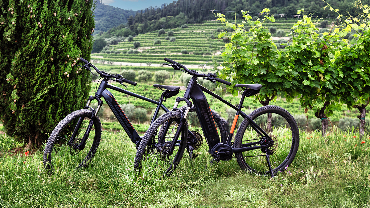 Canova - Wine & E-bike Experience | Weinkellerführung und Verkostung ...