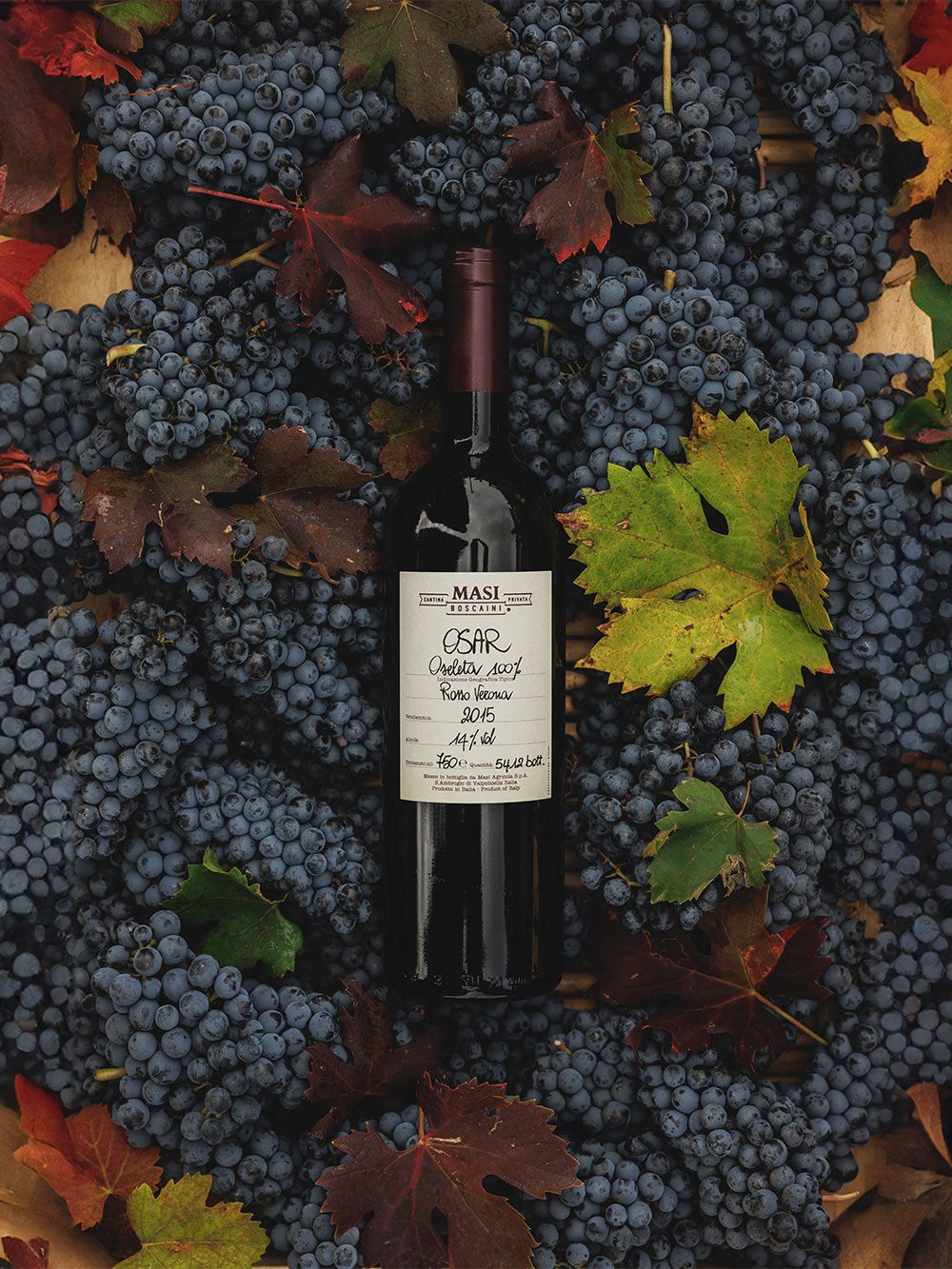 MASI | Cantina Privata Boscaini | Osar Red Wine Verona IGT ...